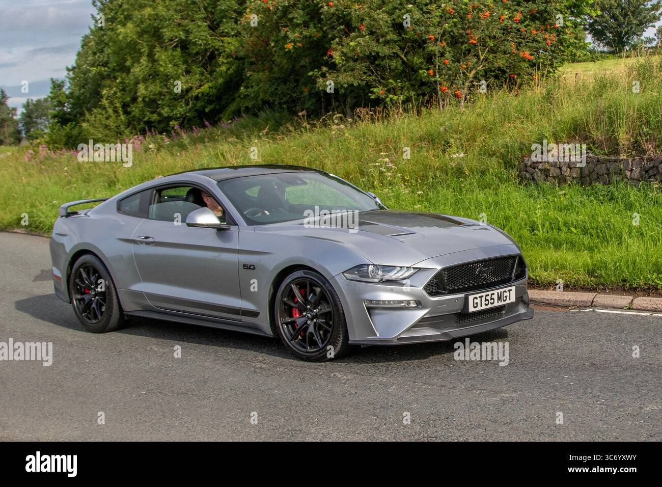 440 55 edition hi-res stock photography and images - Alamy