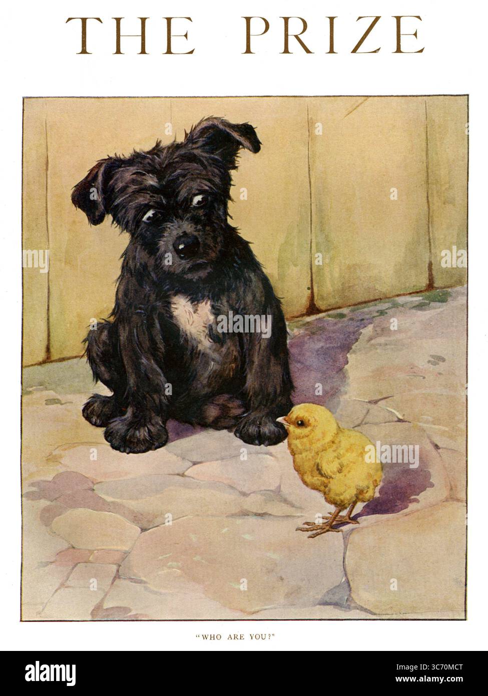 The Prize for Girls and Boys - Childrens book : Who Are You ...