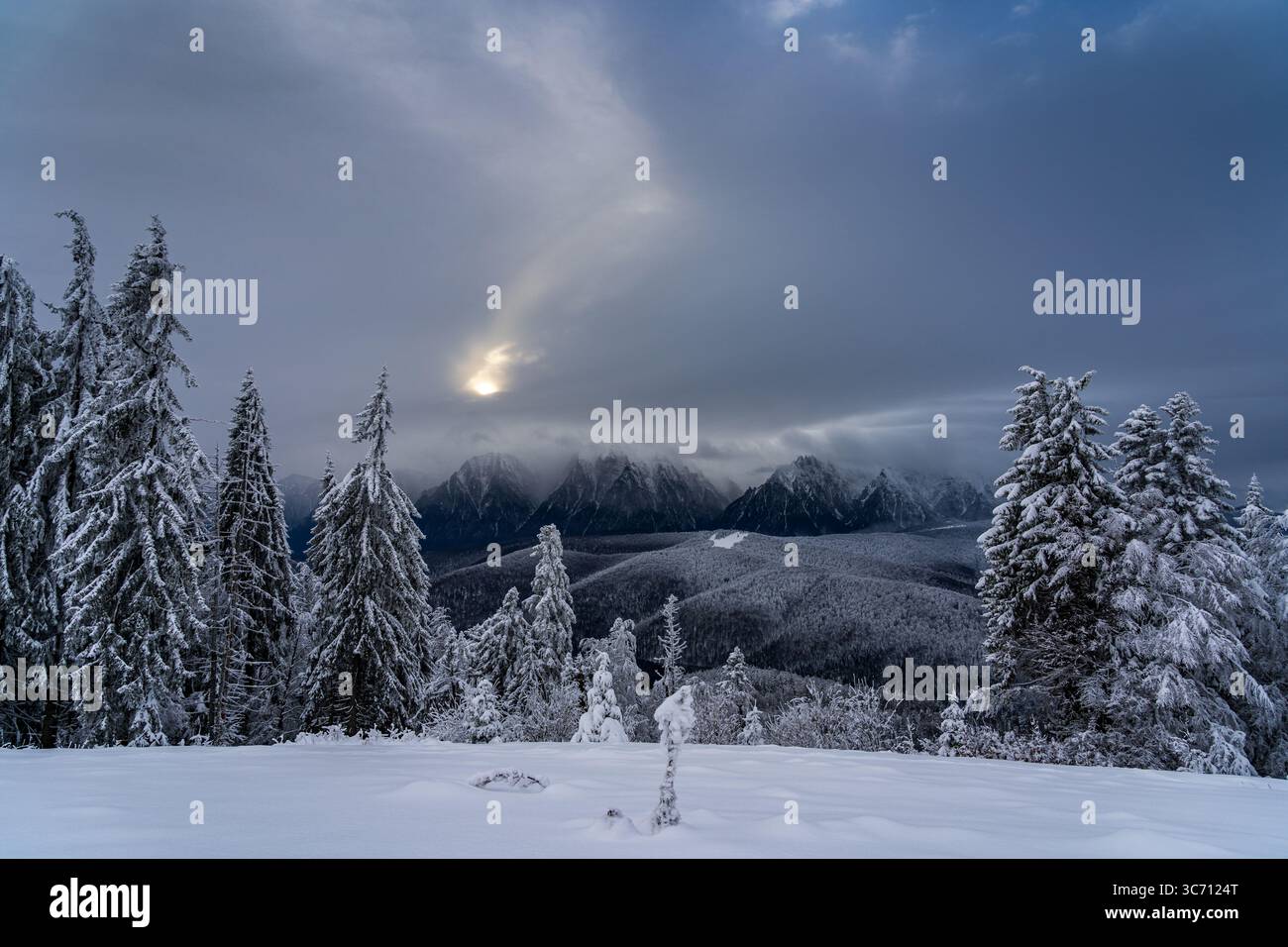 Winter Magic in the Untamed Carpathian Mountains – Snowy Landscape of ...