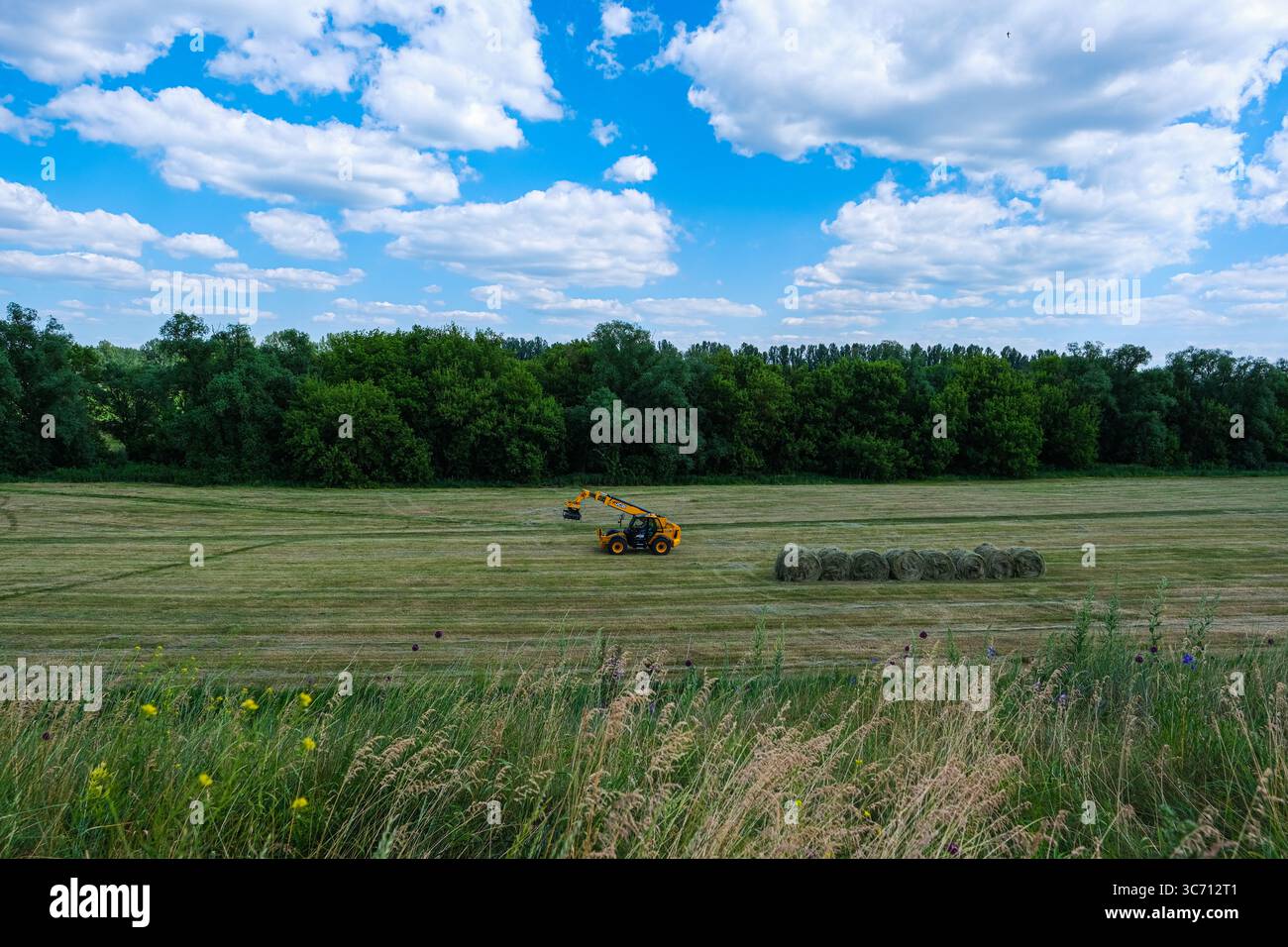 A ranch worker moving bales of hay with a farm tractor on a ranch. High ...