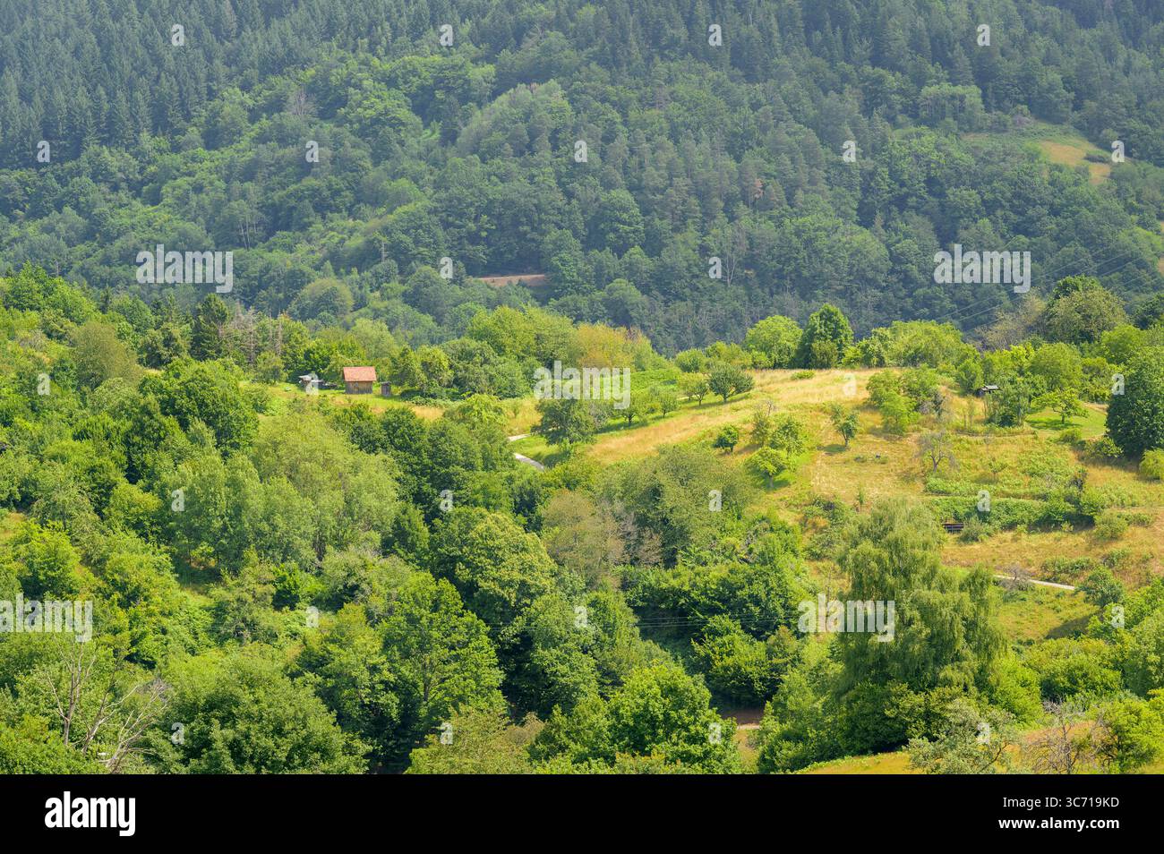 A quaint hut is surrounded by vibrant green trees and rolling hills in ...