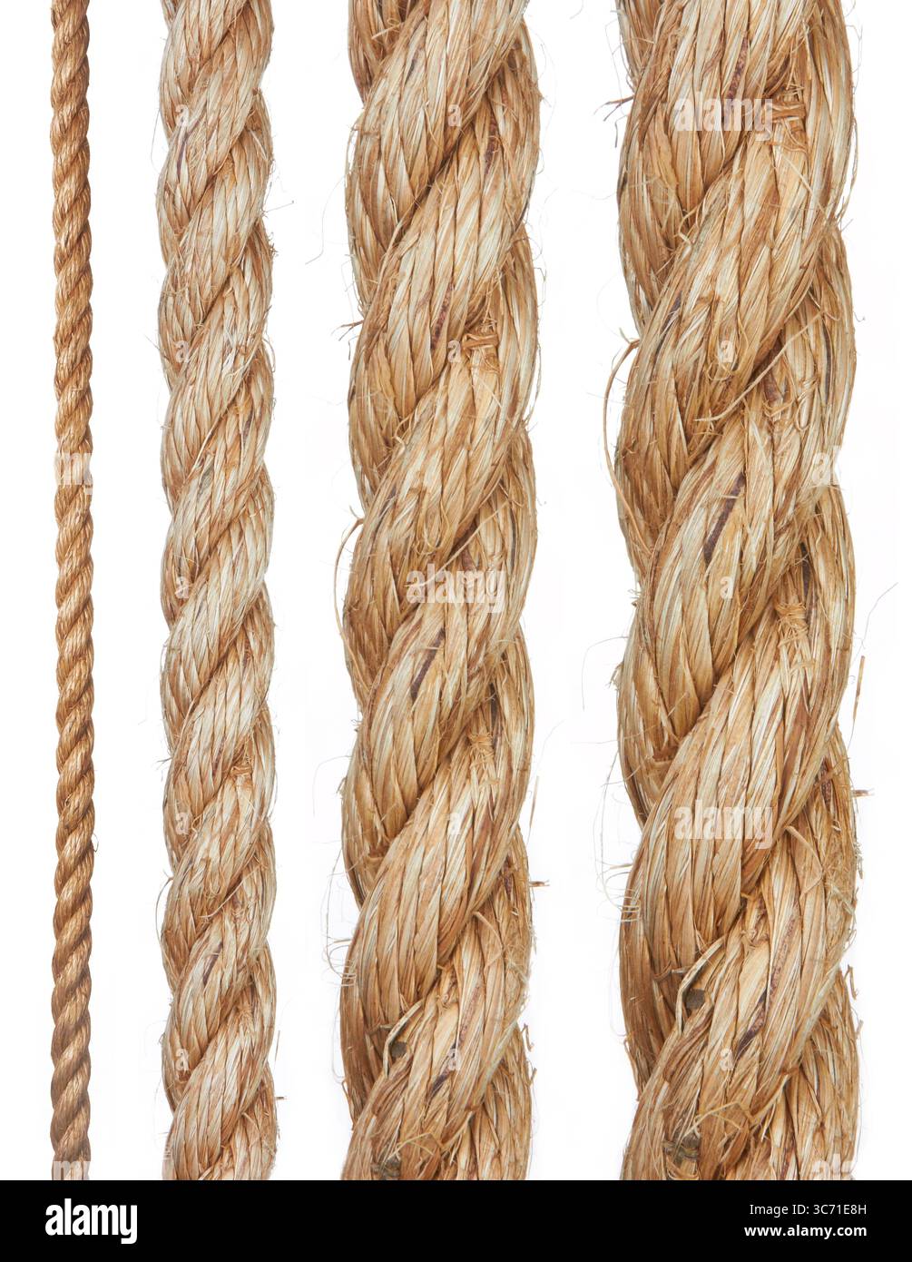 Set of various ropes isolated on white background Stock Photo - Alamy