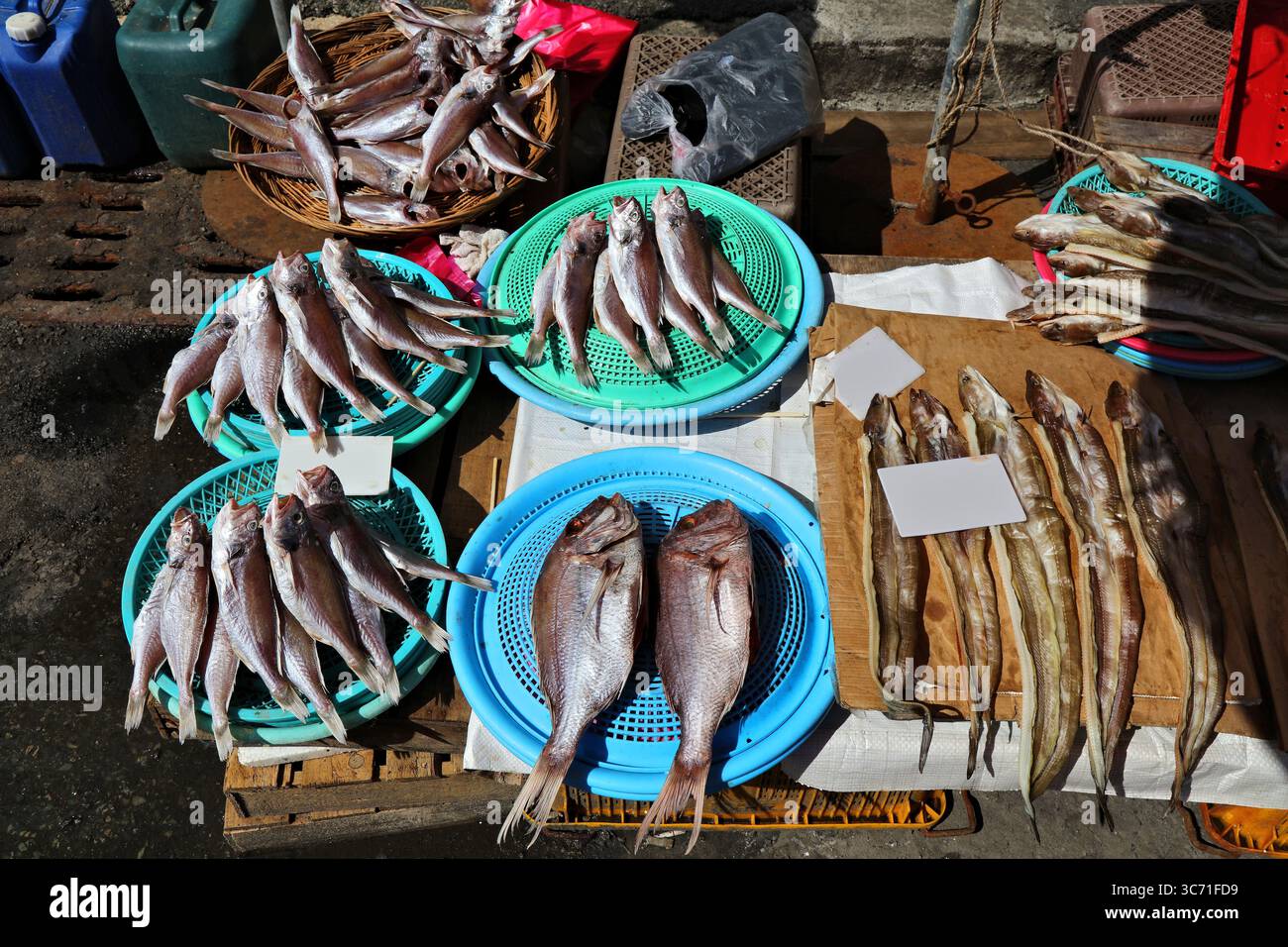 Fish market in Busan, South Korea. Fish at Jagalchi Fish Market Stock ...