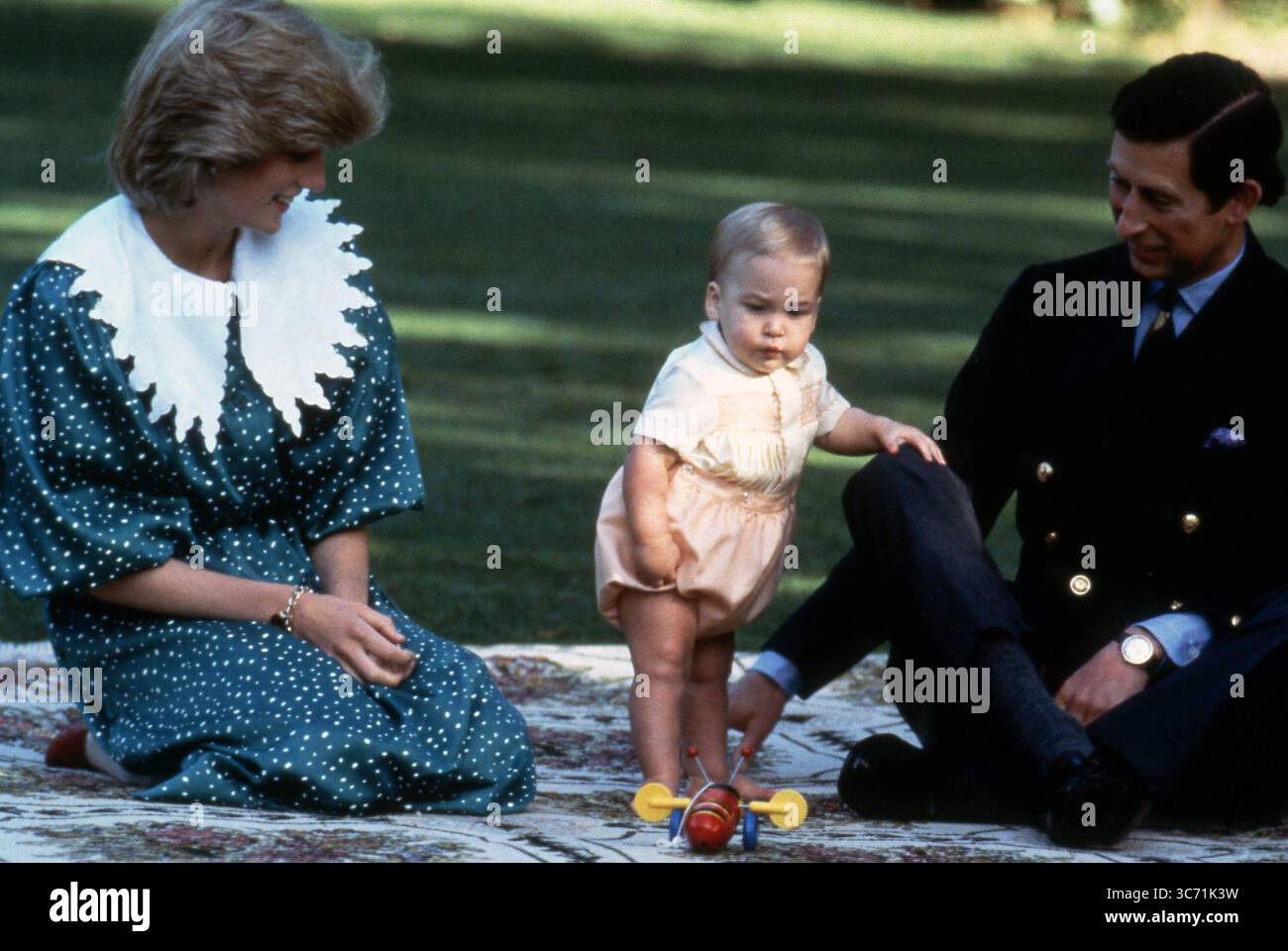 Princess diana baby hi-res stock photography and images - Alamy
