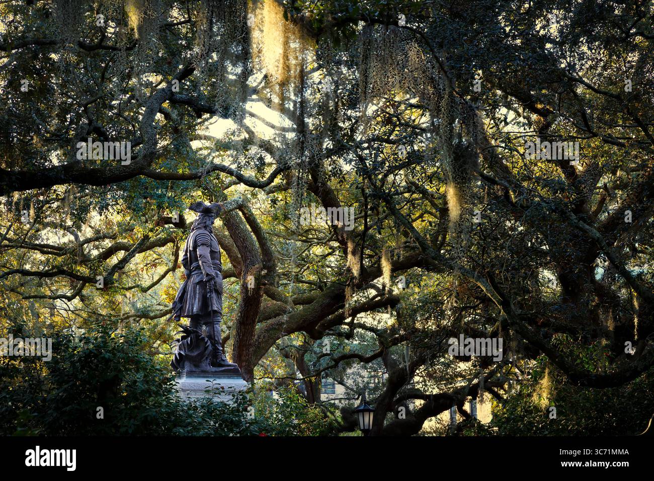 The morning sun and Spanish moss at Chippewa Square and a statue of ...