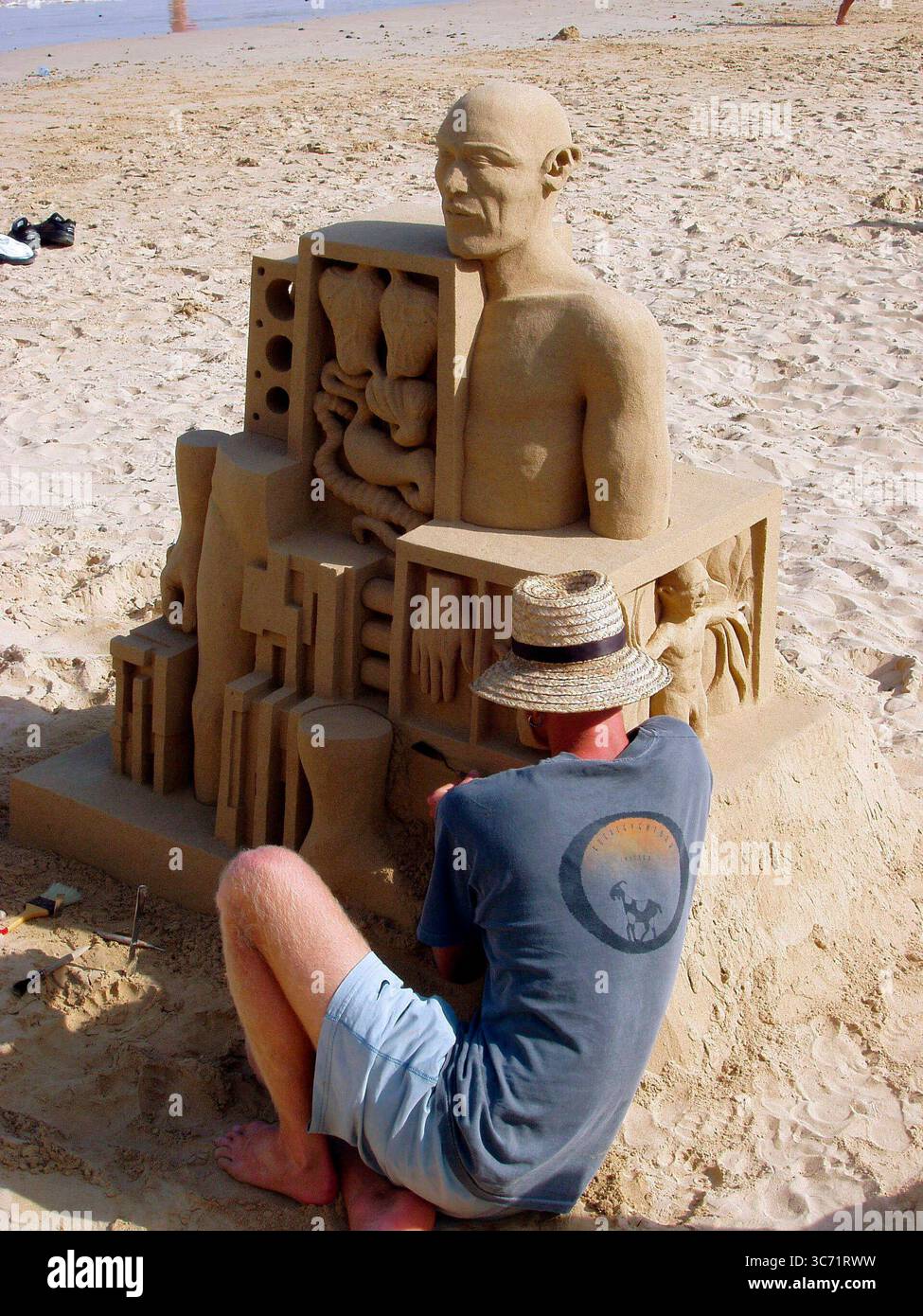 a sand castle at the beach, construction with natural resources sand castle at the beach Stock ...