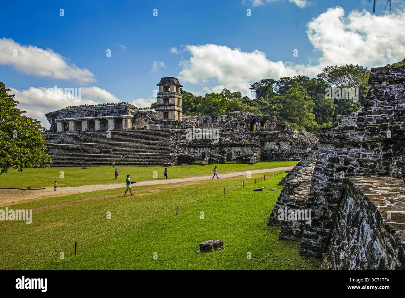 Central America Mexico Chiapas Palenque Archaeological Area Mayan ...