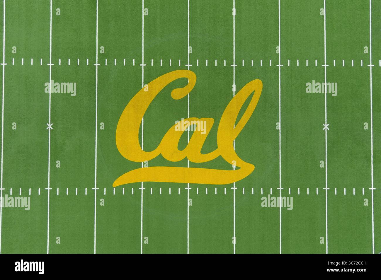 The California Golden Bears on the football field at California ...