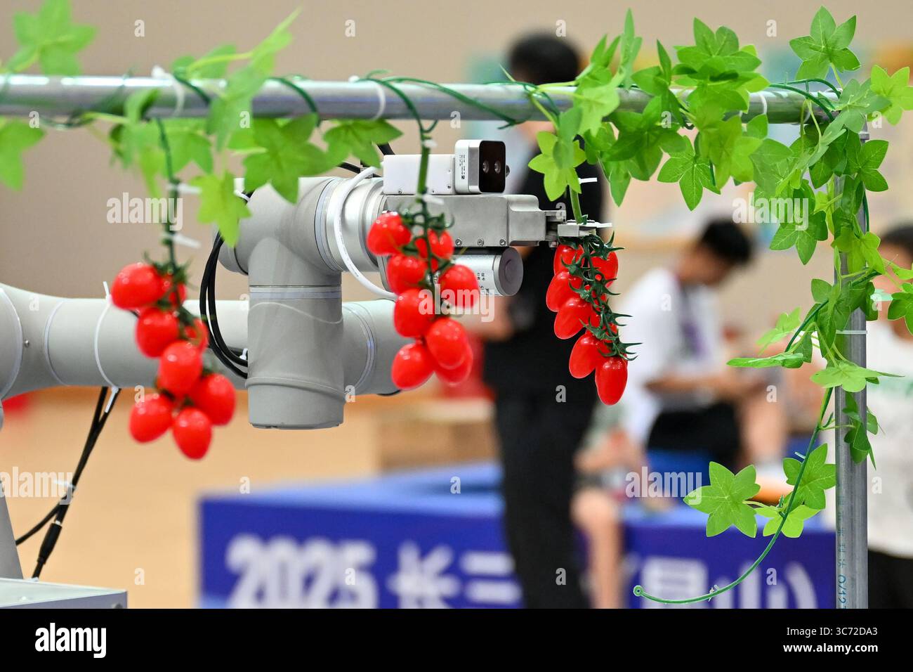 SUZHOU, CHINA- AUGUST 1, 2025 - An intelligent robot demonstrated ...