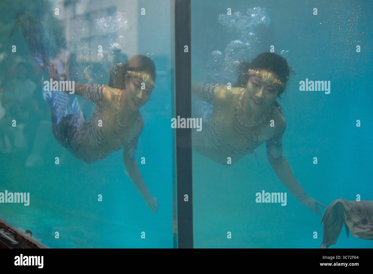 Hong Kong Underwater Performing Arts Theatre Opening Performers dress ...