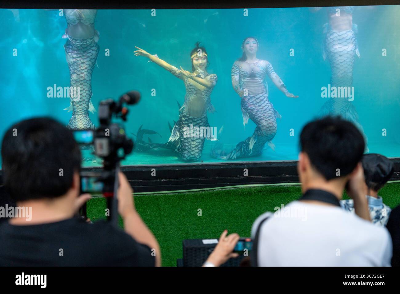 Hong Kong Underwater Performing Arts Theatre Opening Spectators ...