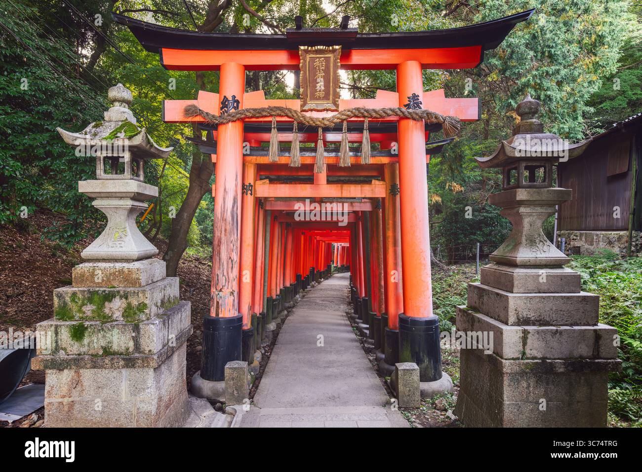 Path through iconic red torii gates at Fushimi Inari Taisha framed by ...