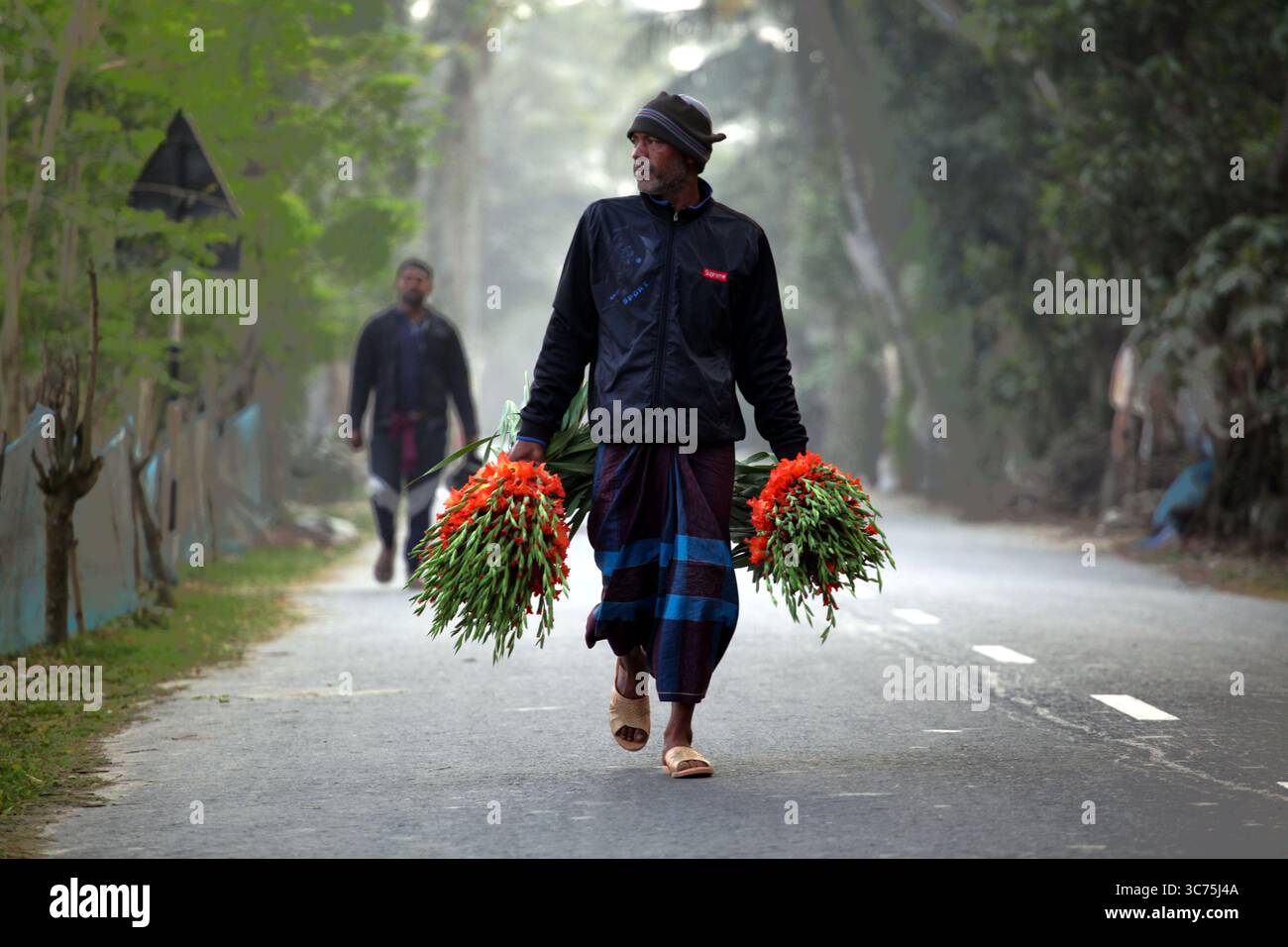 An area of Jhikargachha in Jessore district of Bangladesh has become ...