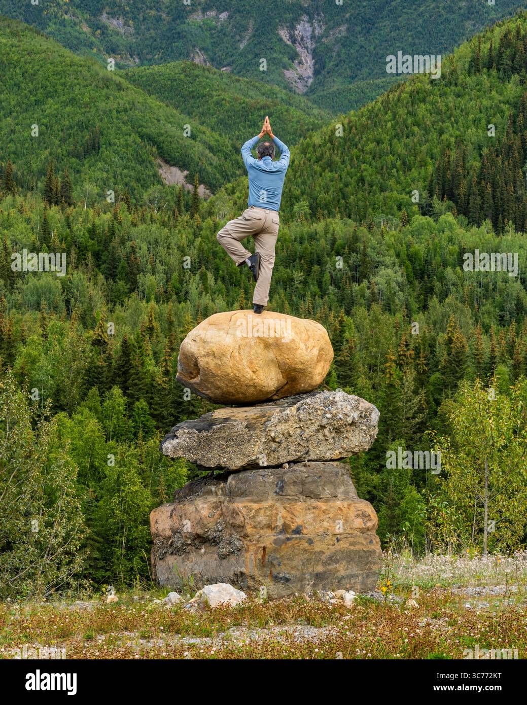 Rockin' Tree Pose on the Alcan Highway in the Yukon, Alaska. The man ...