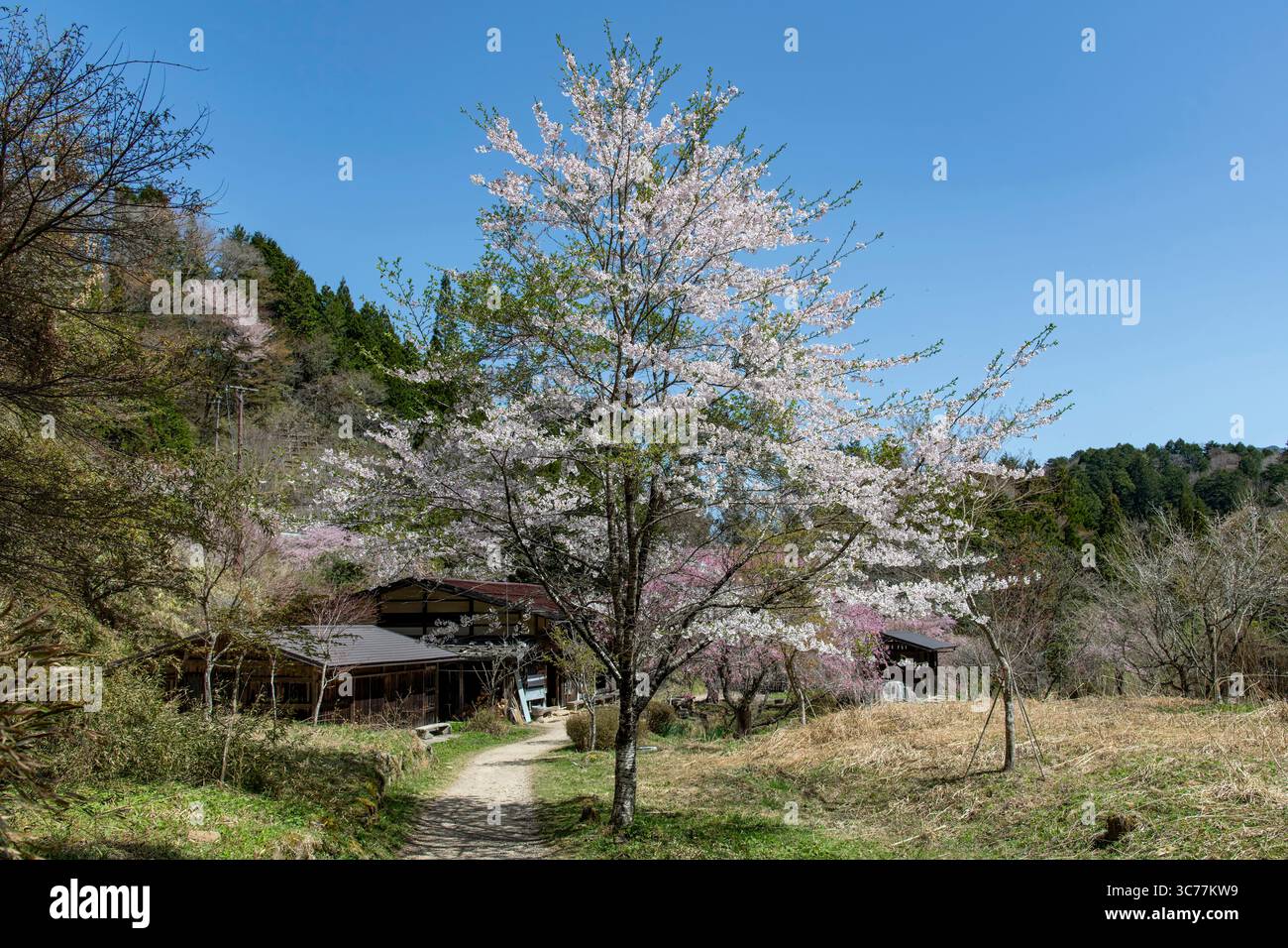 Azuma house hi-res stock photography and images - Alamy
