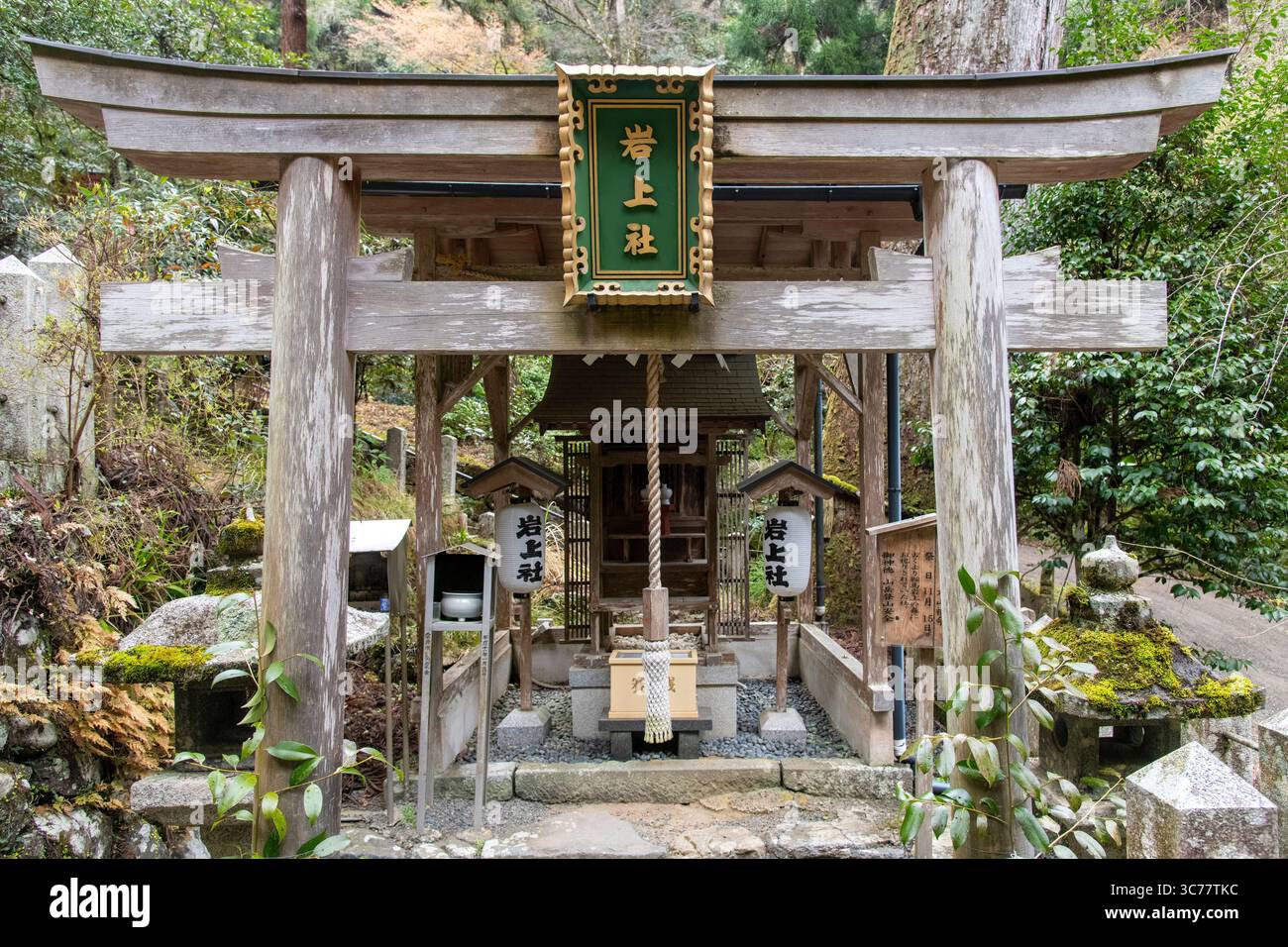 Kyoto, Japan-April 11, 2025; Iwakamisha Shinto Shrine on the ...