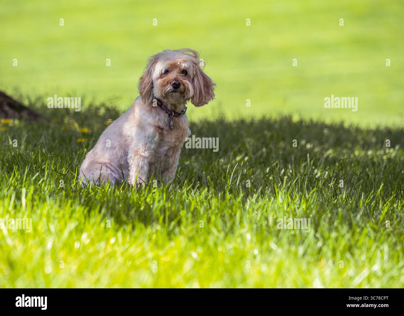 Oregon ridge nature center hi-res stock photography and images - Alamy