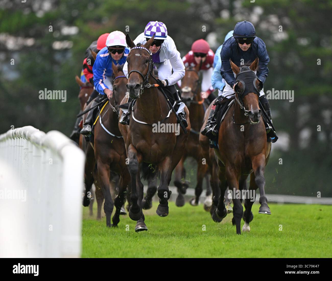 Lordan fillies hi-res stock photography and images - Alamy