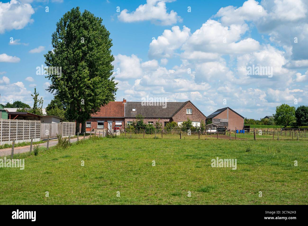 Farm house and green meadow at the Flemish countryside in Langemark ...