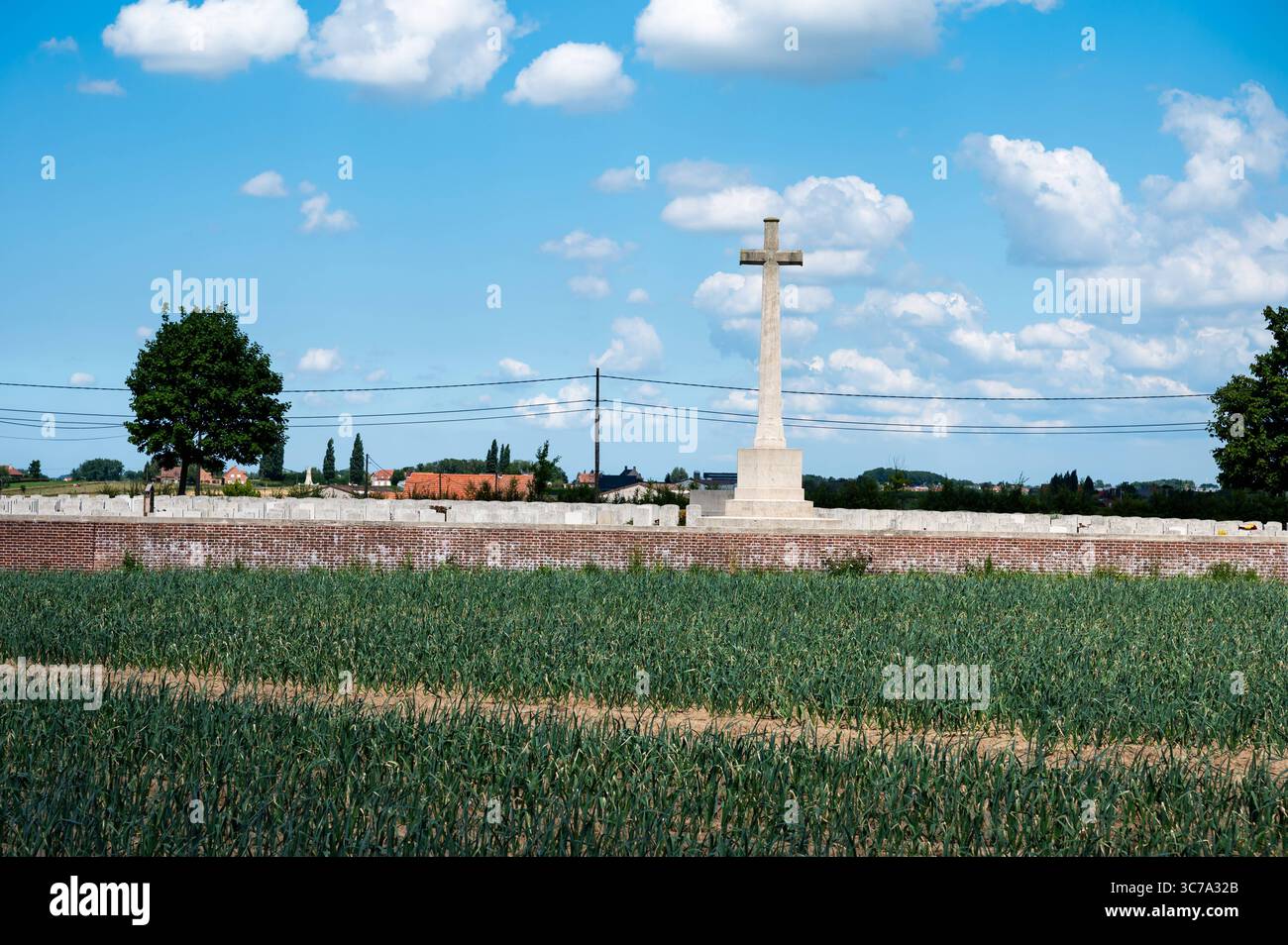 Leek field at the Flemish countryside in Langemark Poelkapelle, West ...