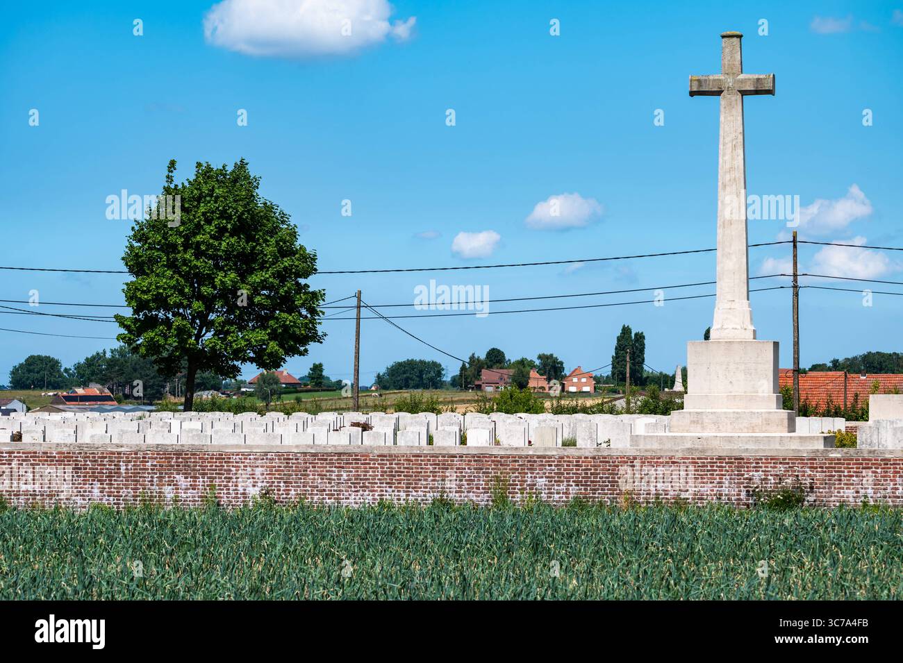 Leek field at the Flemish countryside in Langemark Poelkapelle, West ...