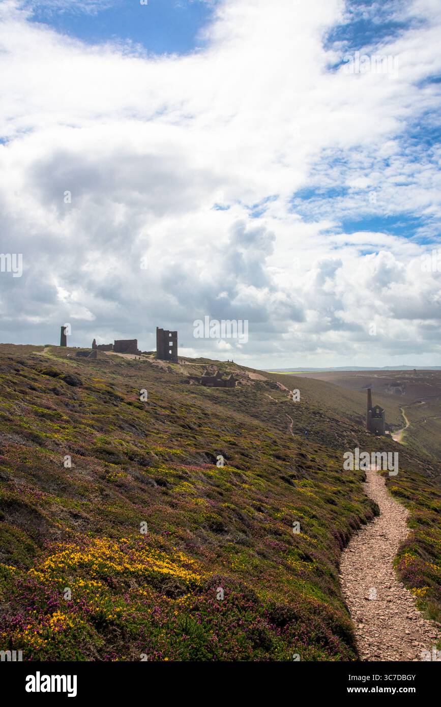 ruins of tin mining buildings at St Agnes Heritage Coast, Cornwall ...