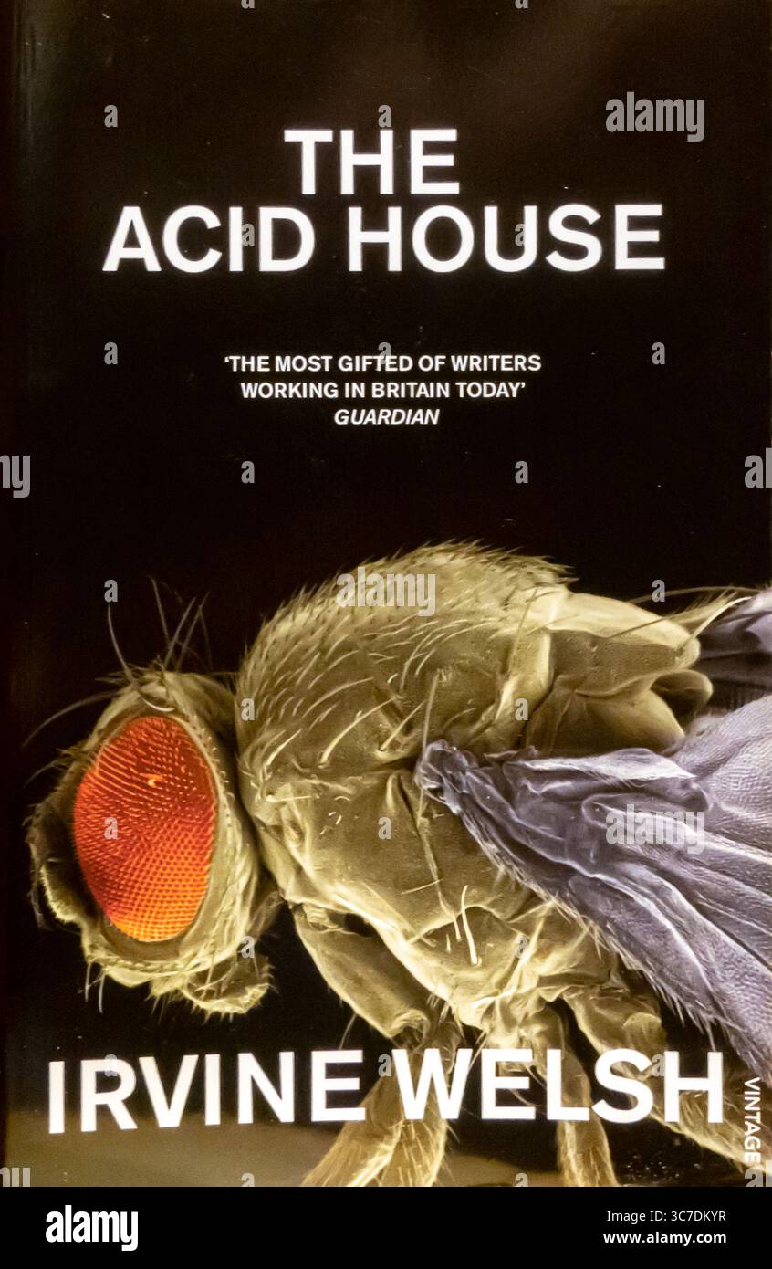 The Acid House book by Irvine Welsh 1994 Stock Photo - Alamy