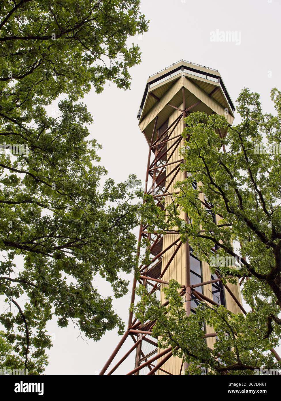 Observation tower rises above Hot Springs Mountain in the Ouachita ...