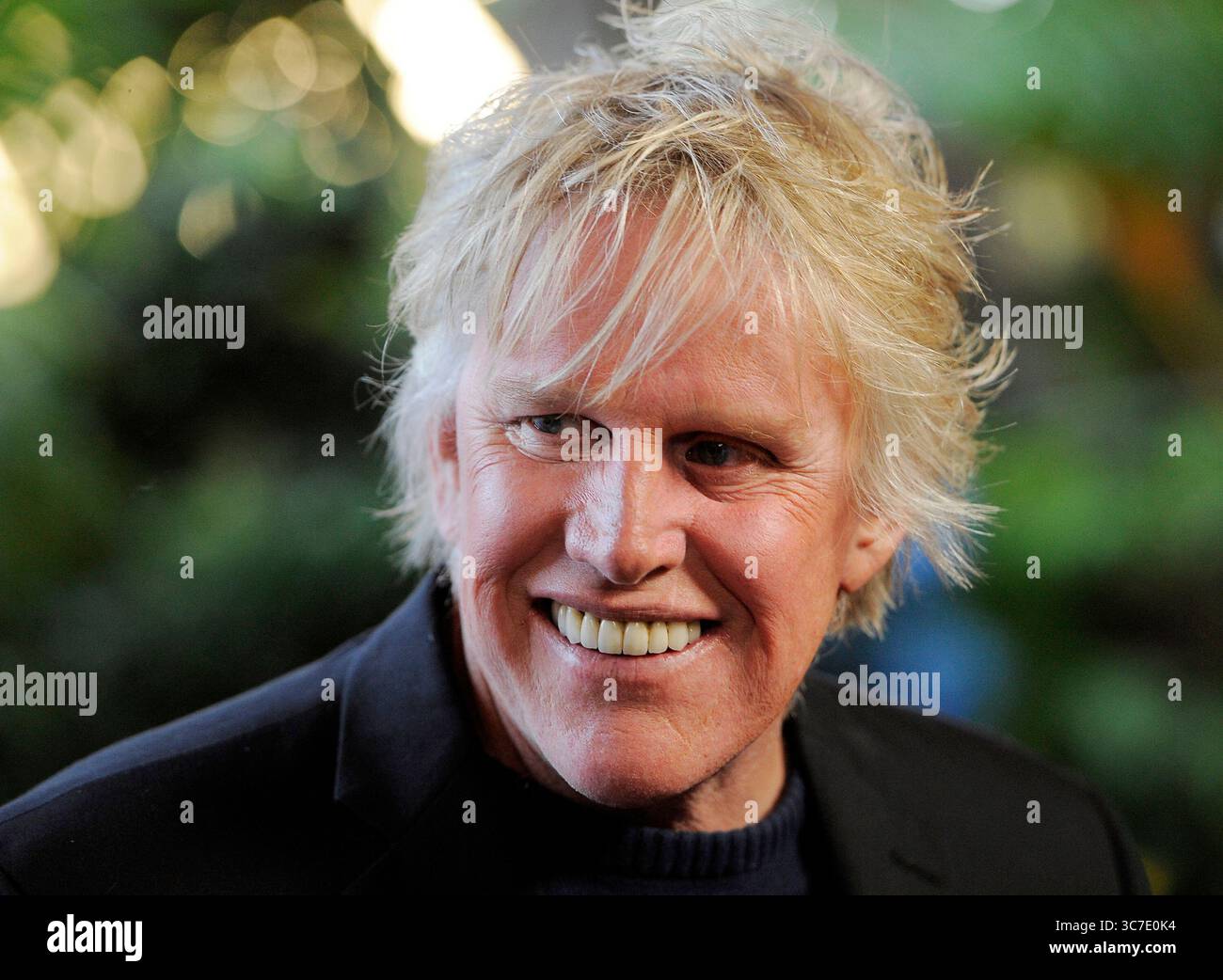 FILE - Gary Busey appears at the Entertainment Studios' Daytime Emmy ...