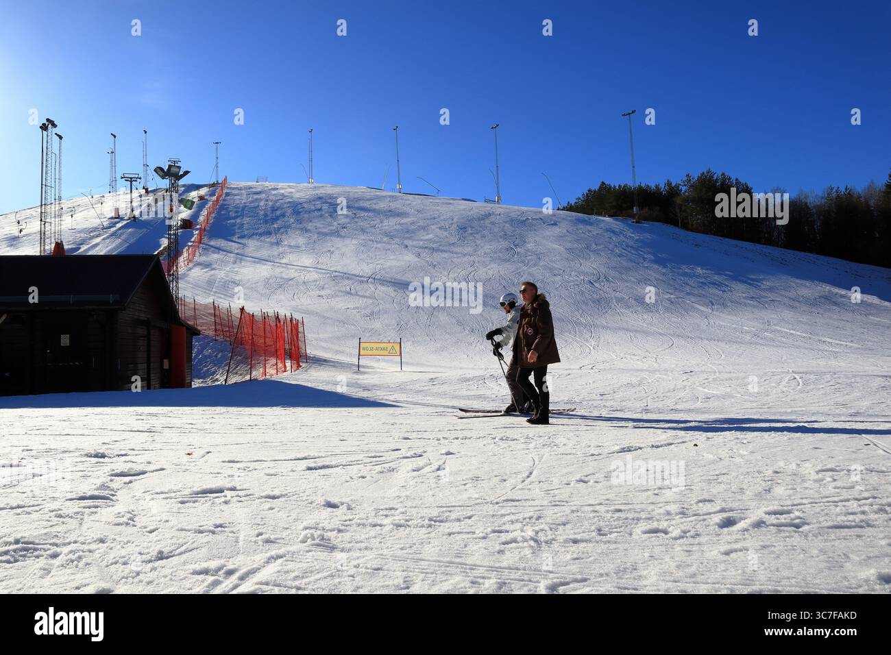 Swedes walking winter hi-res stock photography and images - Alamy