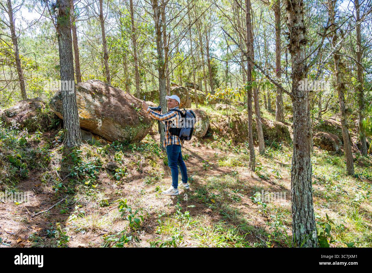 Wide-angle shot of a smiling photographer in a pine forest taking a ...