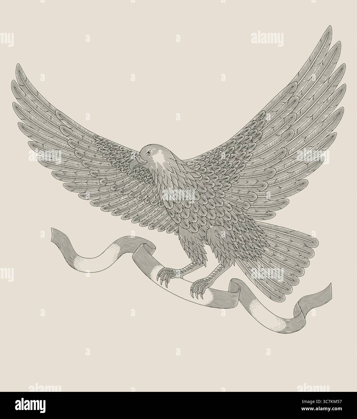 Bald eagle gripping banner, Vintage engraving drawing style vector ...