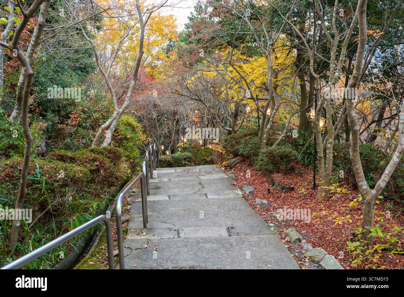 Zuiryuji Temple, a high-status Nichiren convent (Amamonzeki) for ...