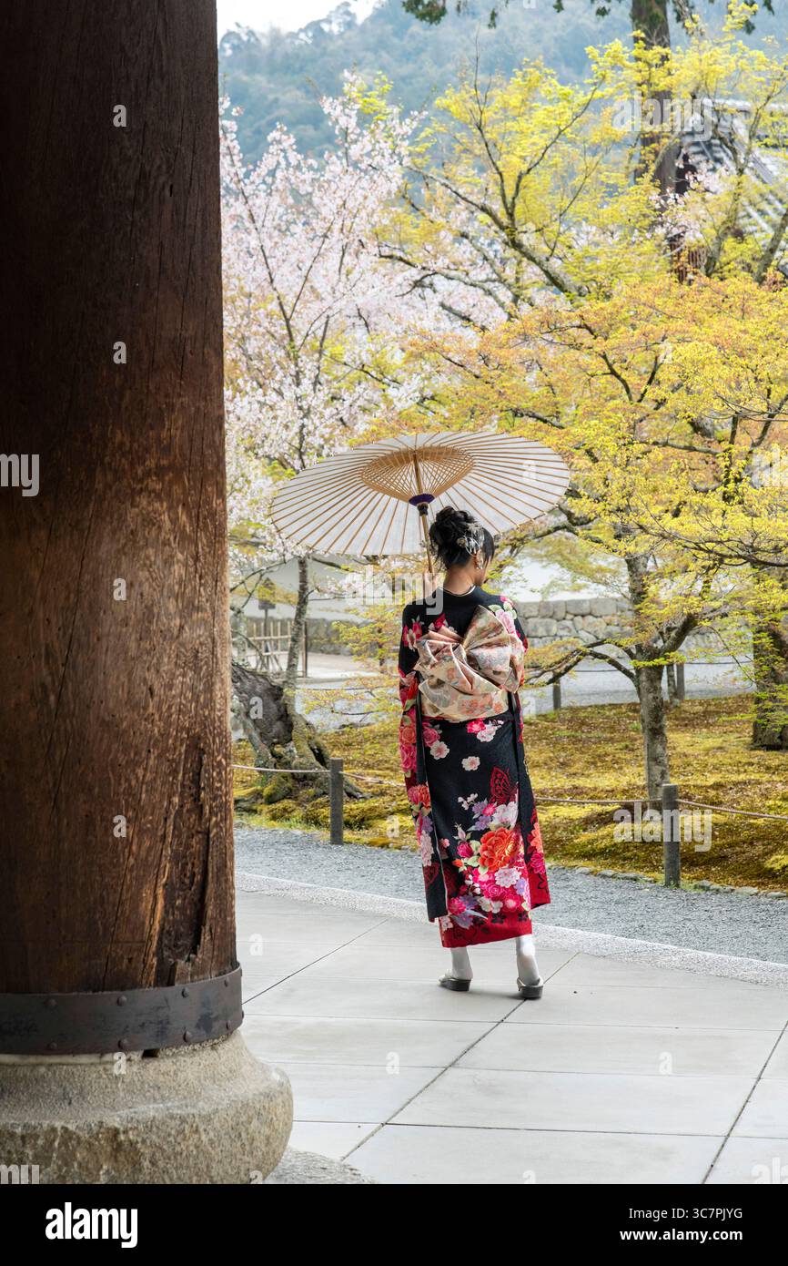 Woman in traditional Japanese kimone posing in temple garden with heavy ...
