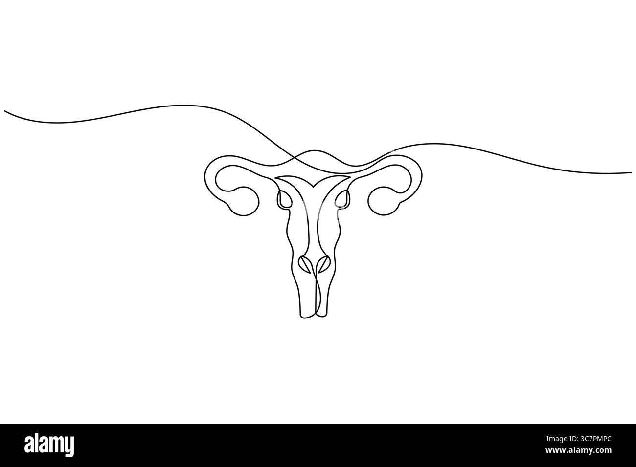 Minimalist one line drawing of a human uterus with fallopian tubes ...