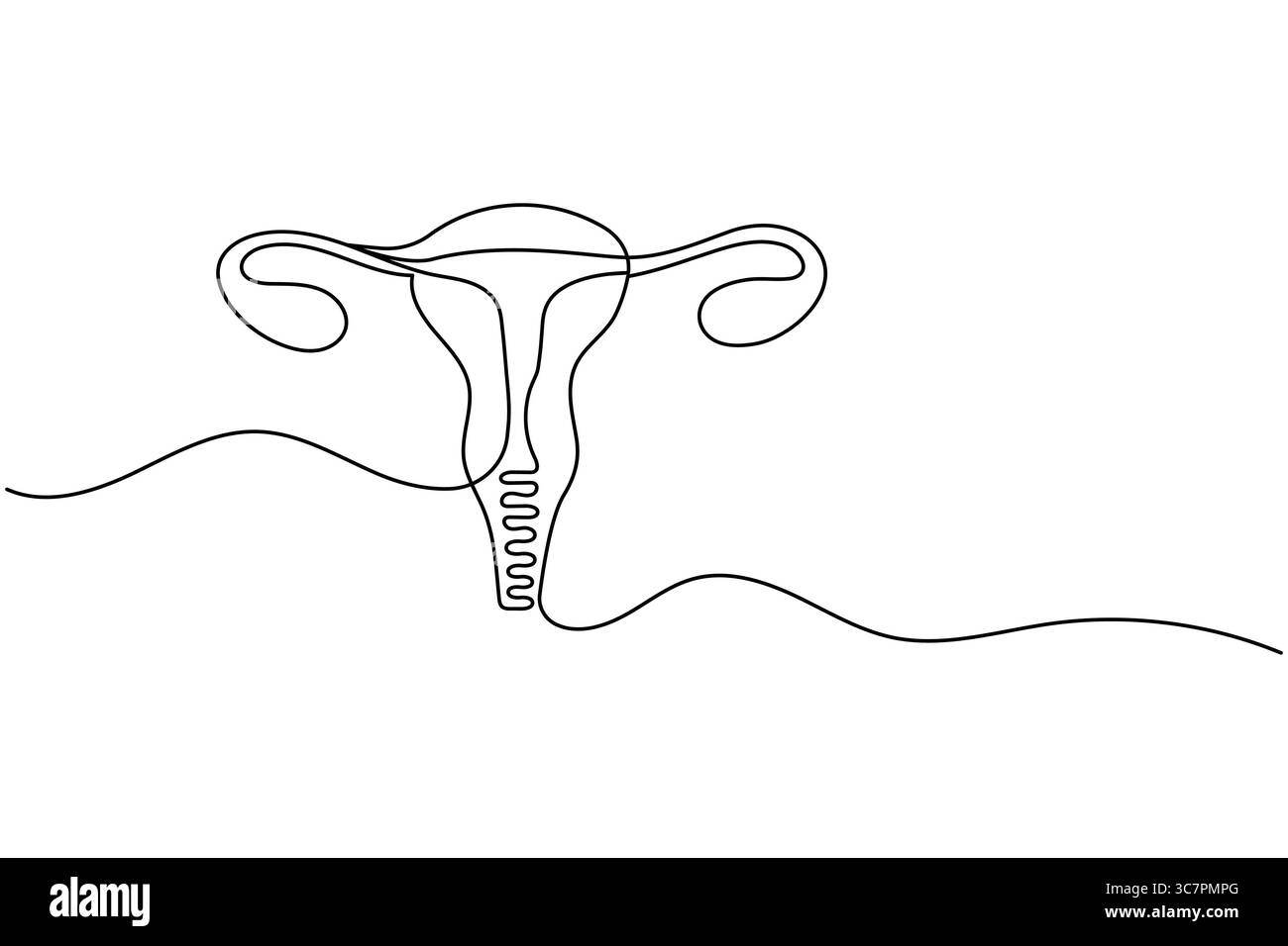 Minimalist one line drawing of a human uterus with fallopian tubes ...