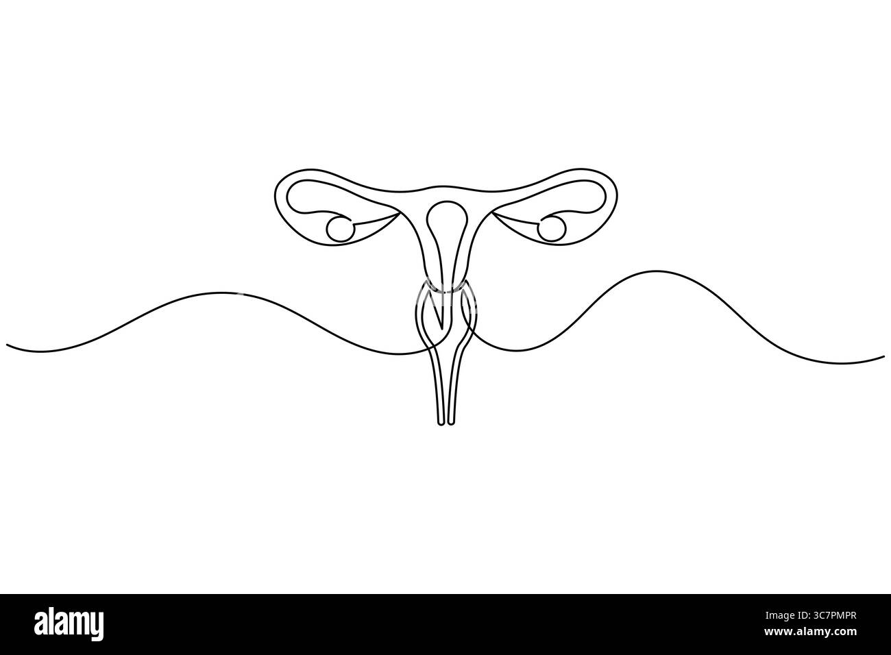 Minimalist one line drawing of a human uterus with fallopian tubes ...