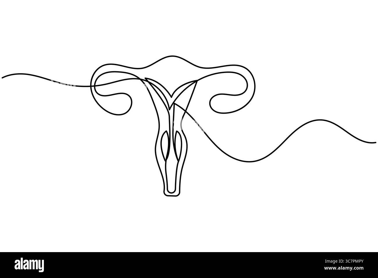 Minimalist one line drawing of a human uterus with fallopian tubes ...