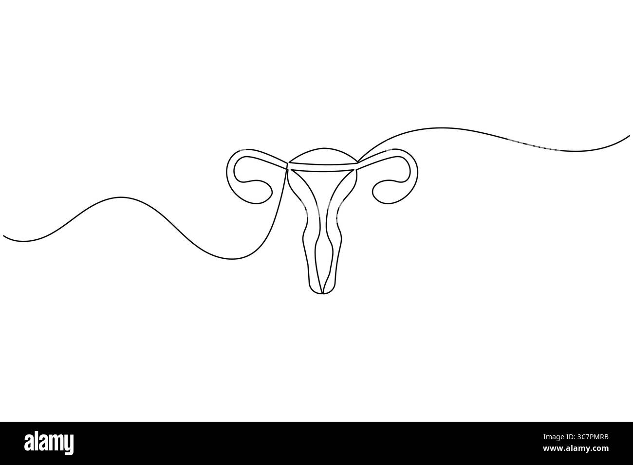 Minimalist one line drawing of a human uterus with fallopian tubes ...