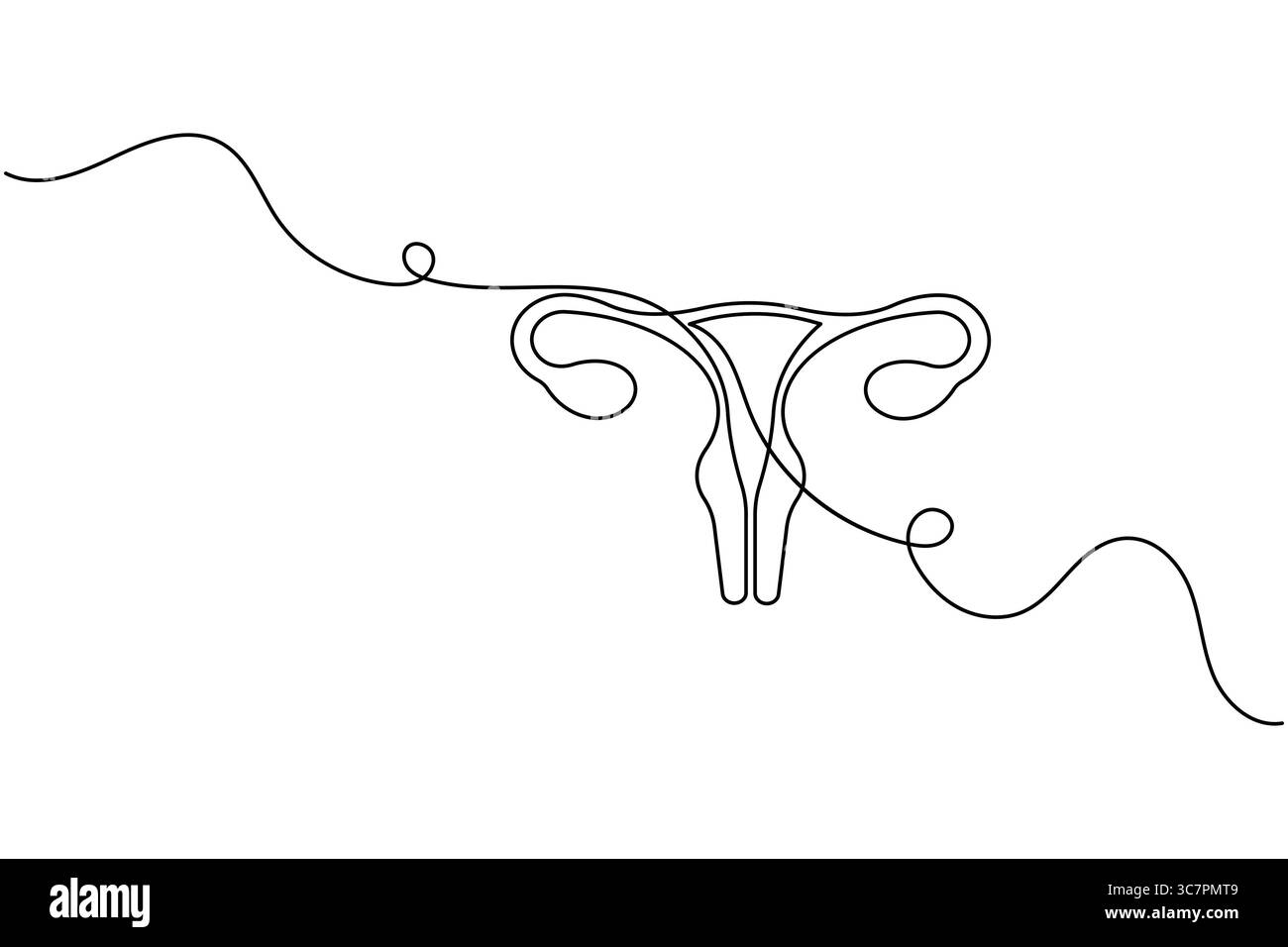 Female reproductive system line drawing hi-res stock photography and ...
