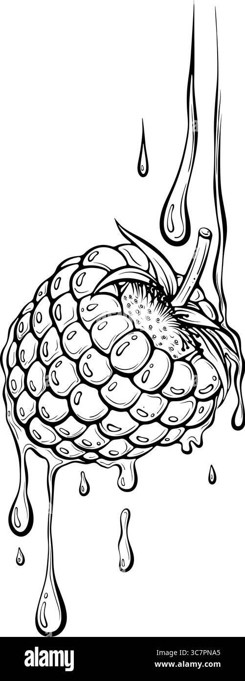 Up raspberry Stock Vector Images - Alamy