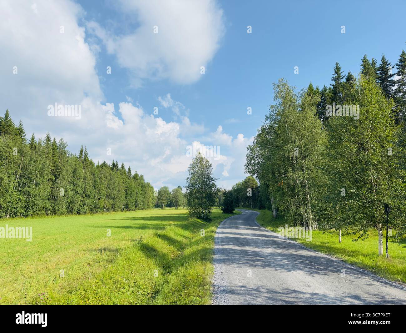 Rural road through meadow smartphone stock photos and images - Alamy