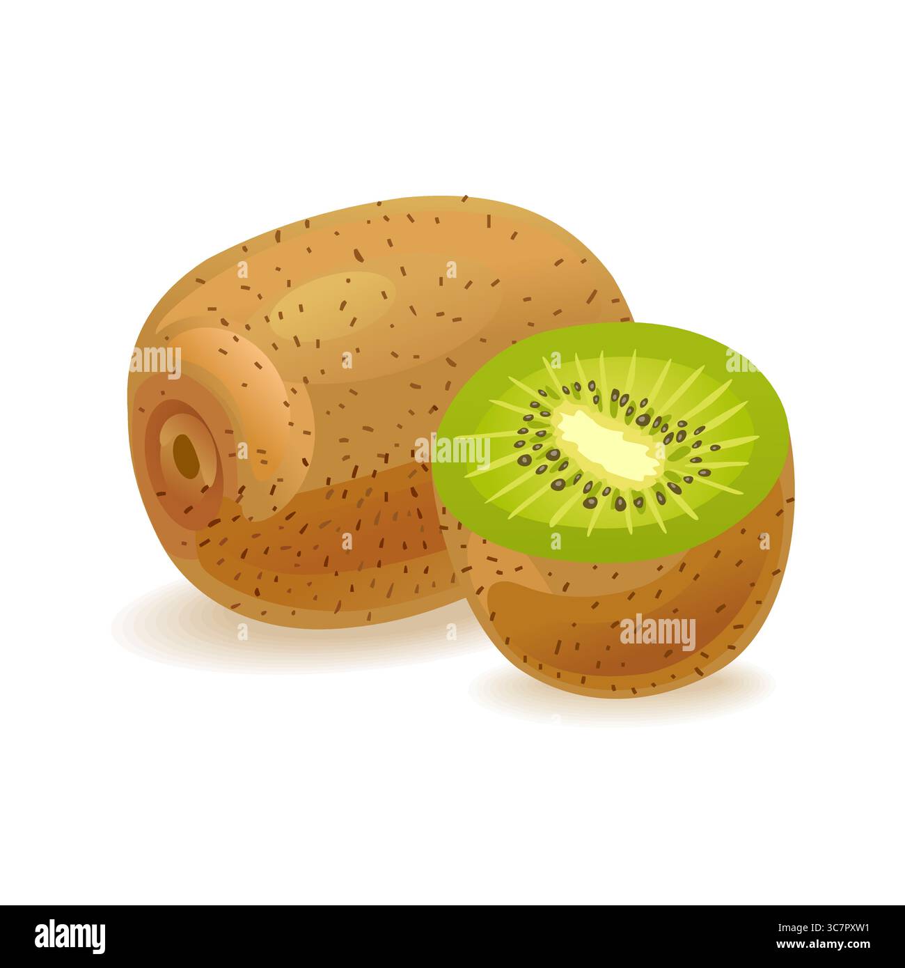 Realistic kiwi fruit. Half and slice. Fresh organic food for a healthy ...