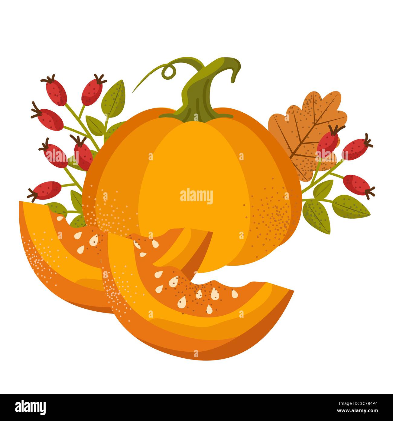 Fresh autumn harvest vegetables Stock Vector Images - Alamy
