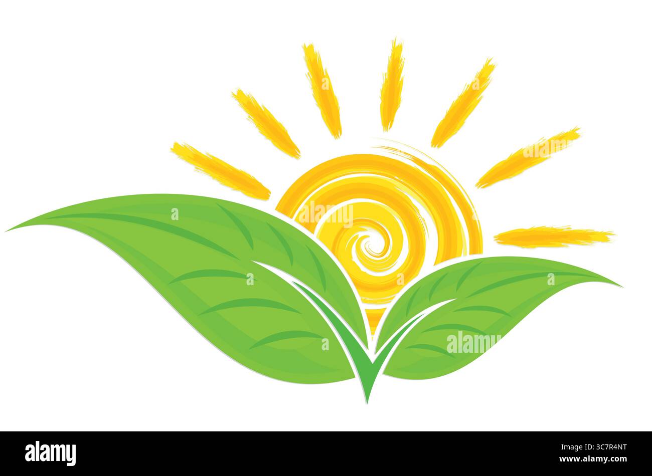 Dawn green Cut Out Stock Images & Pictures - Alamy