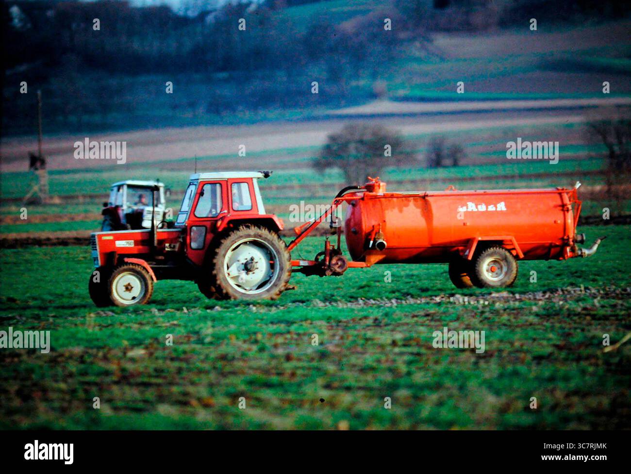 stable manure from animals as fertilizer in farming and livestock ...