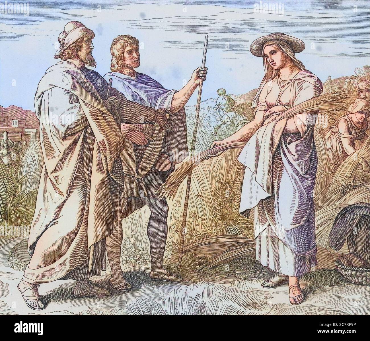 Biblical story, Ruth grooming the field of Boaz, a Judean landowner ...