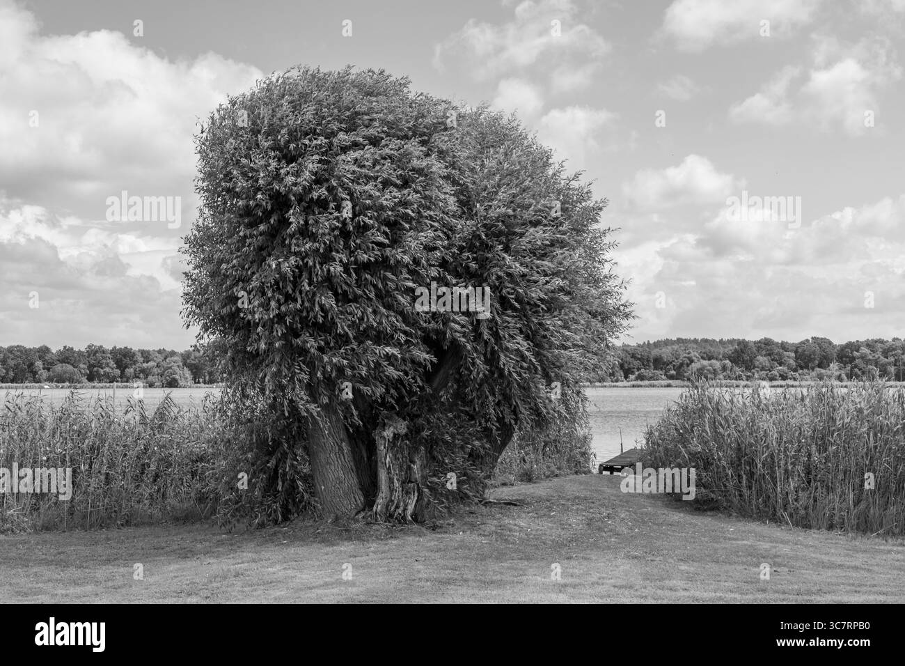 Havel germany Black and White Stock Photos & Images - Alamy