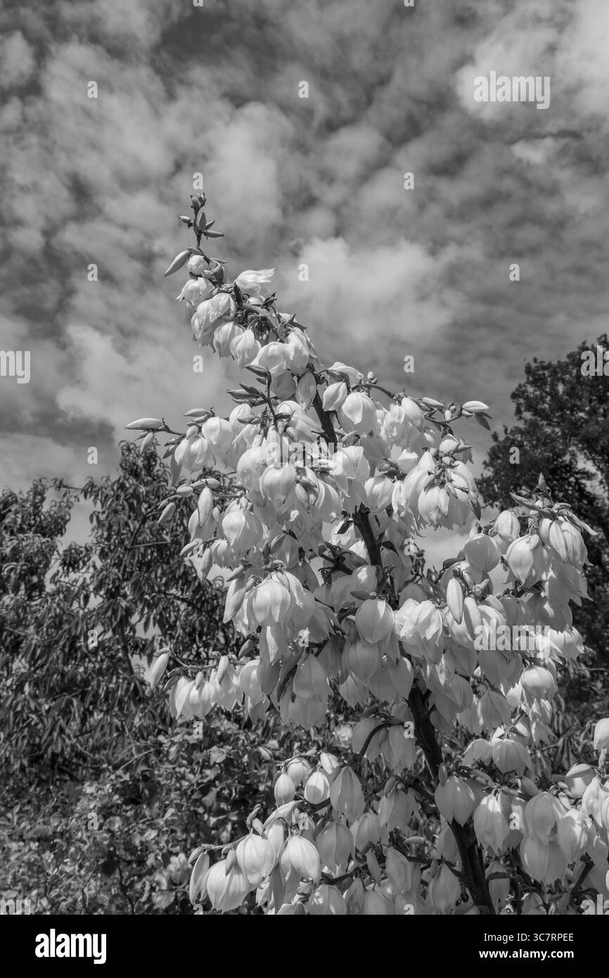 Havel germany Black and White Stock Photos & Images - Alamy