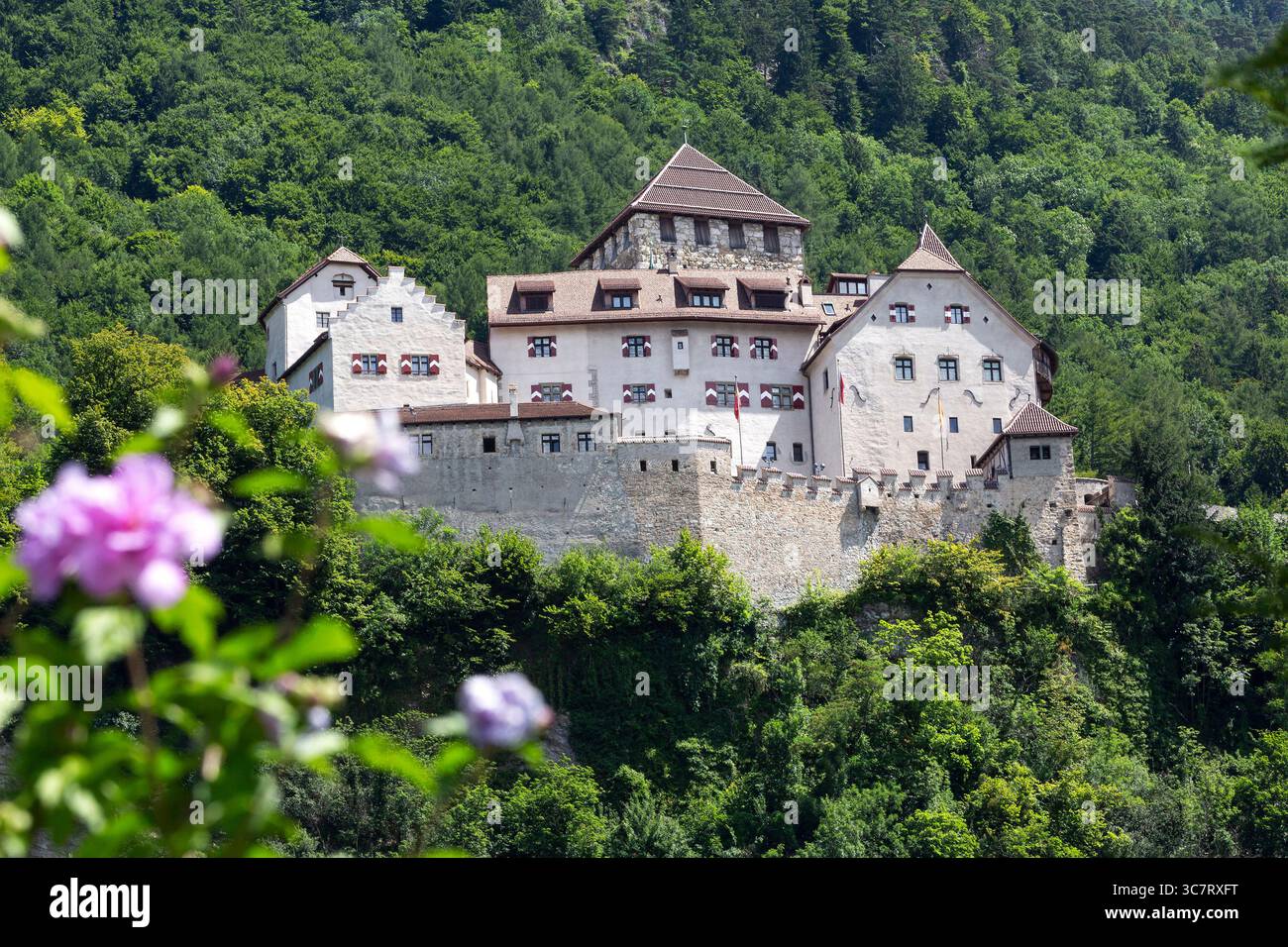 Schloss Vaduz, Wahrzeichen und Sitz des Fürstenhauses Liechtenstein ...